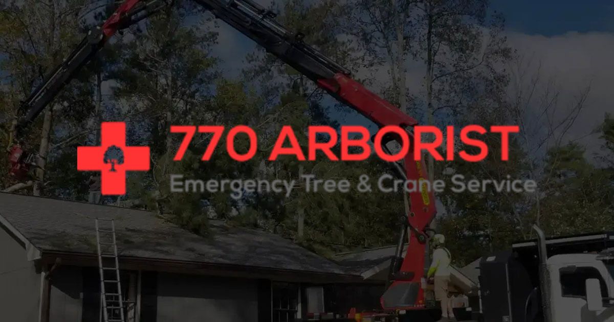 Tree Risk Assessment and Management | 770 Arborist